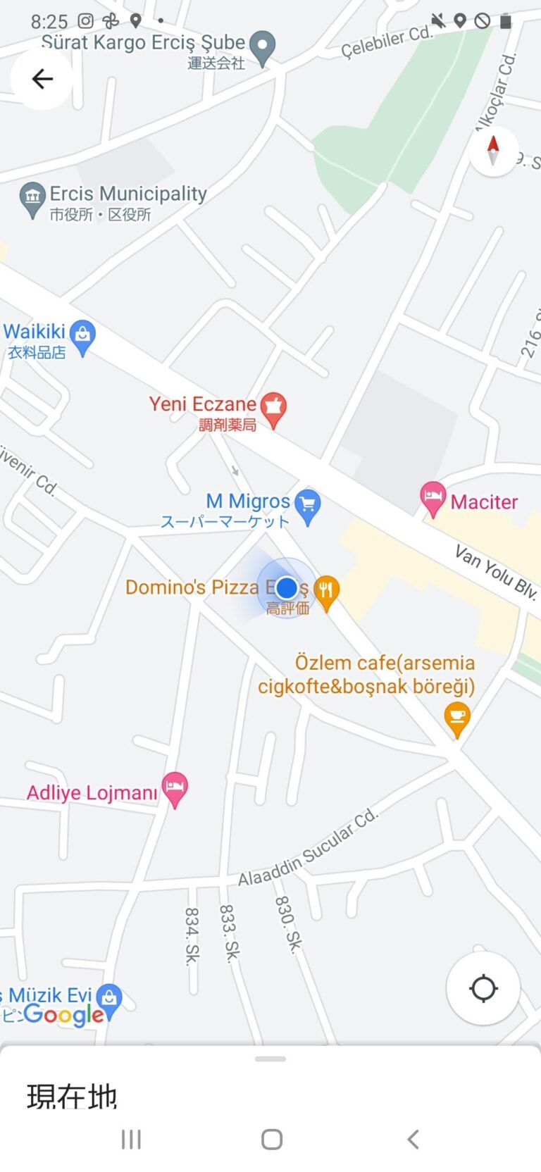 How to Get to Van from Ercis: We Took a Minibus | Mai and Chris Travel