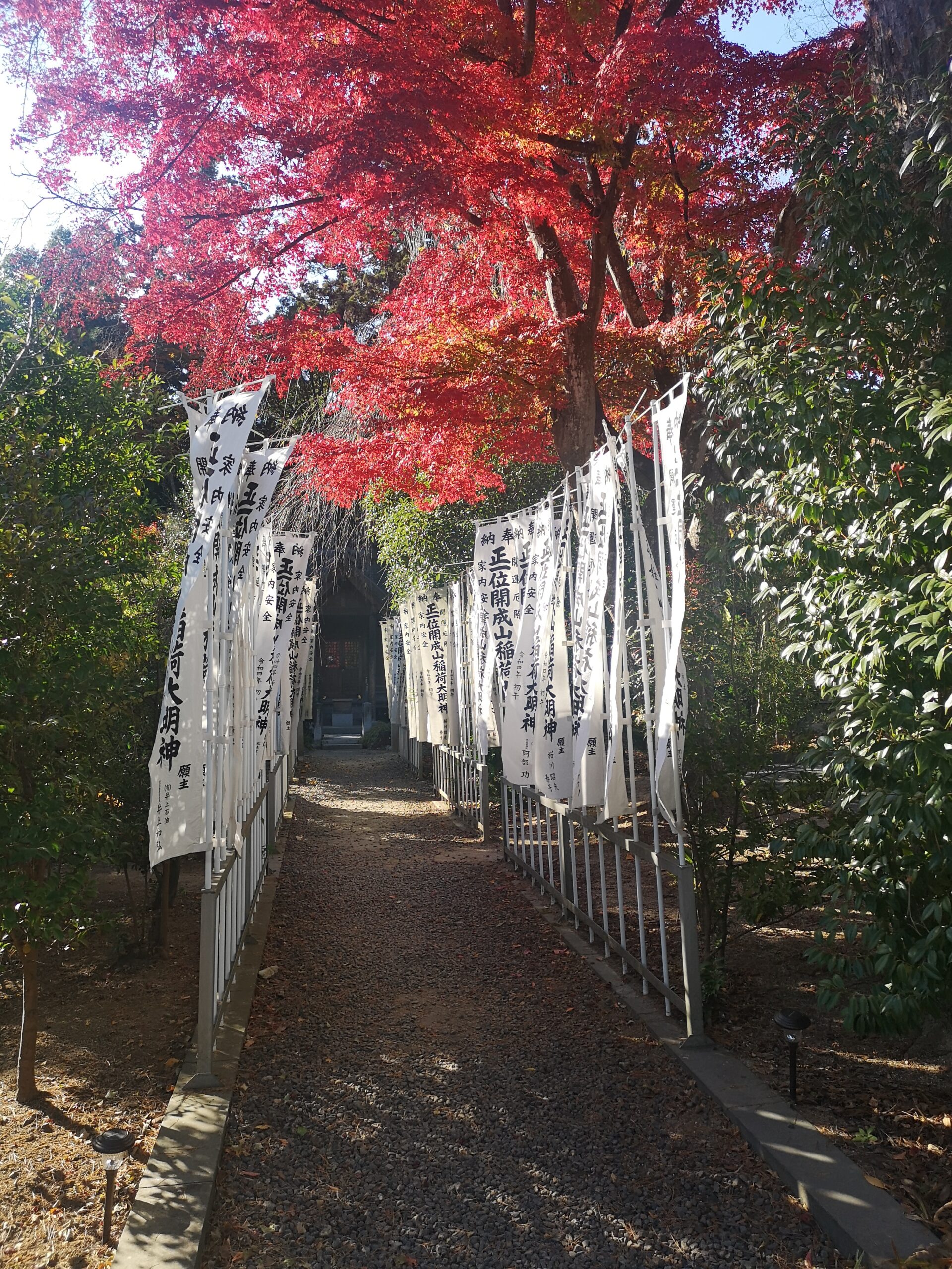 Things You Can Do in Koriyama: Walking Around | Mai and Chris Travel