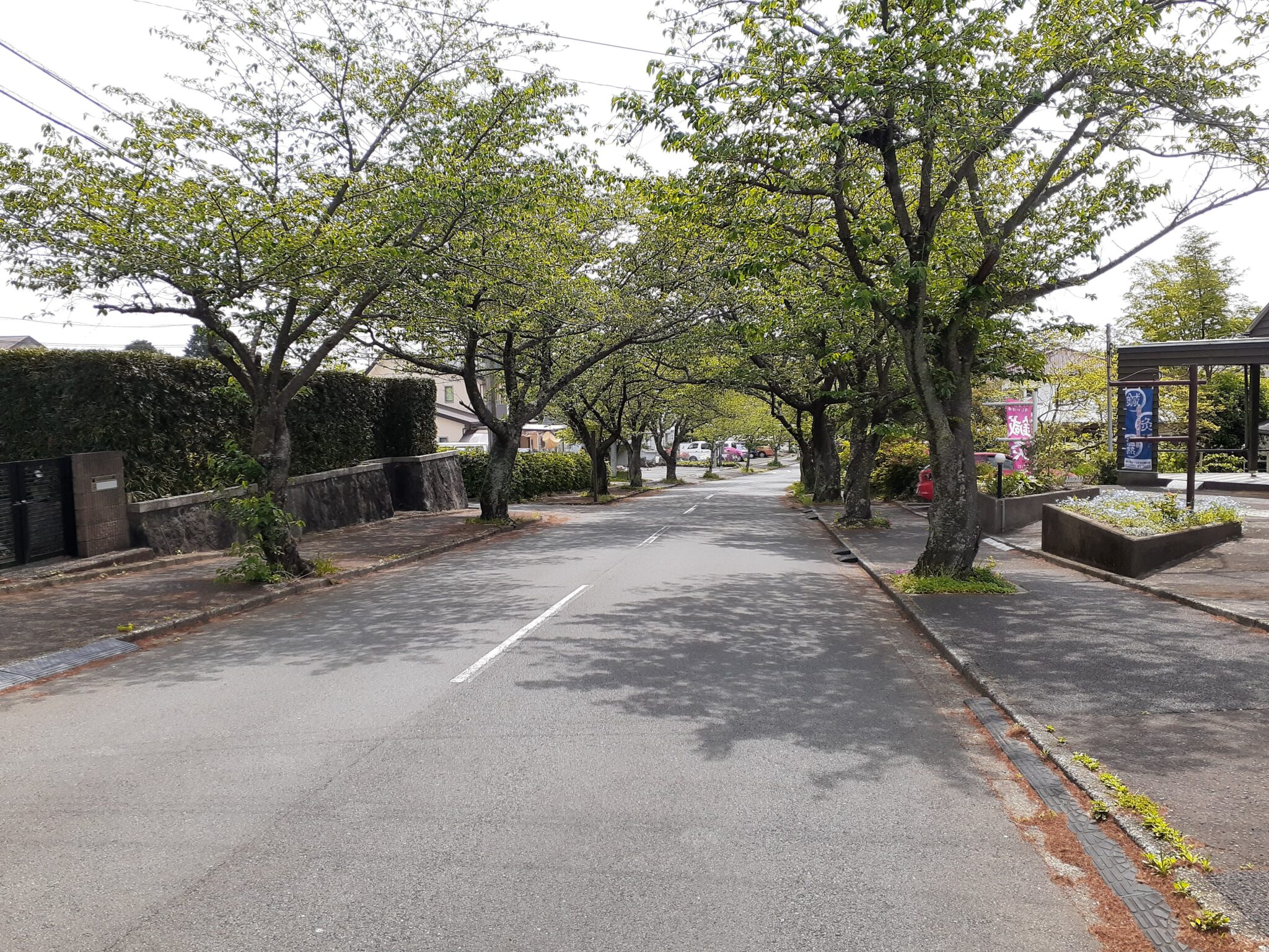 Jogasaki Coast Hiking Guide: Walking from Jogasaki Kaigan Station to ...