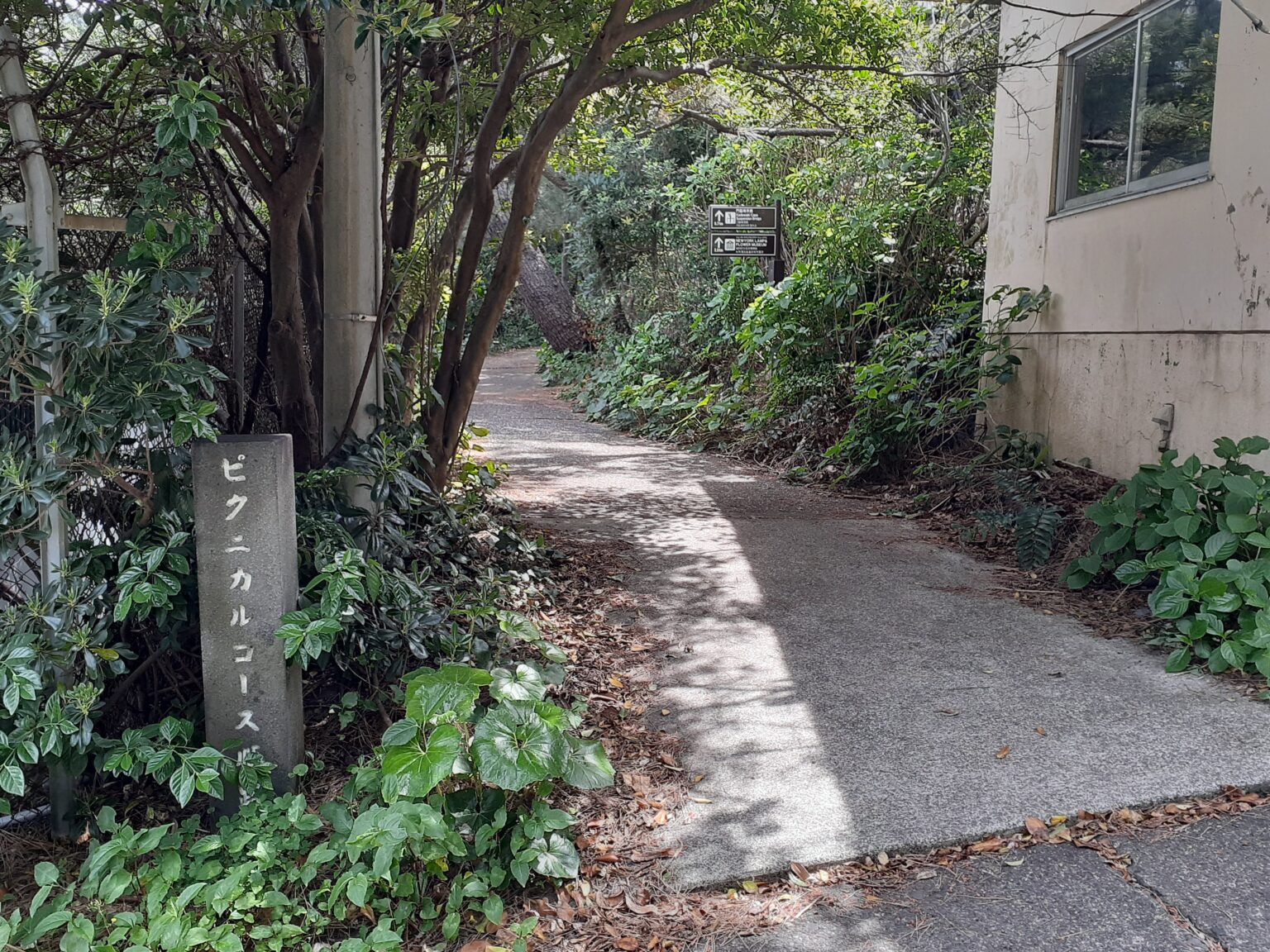 Jogasaki Coast Hiking Guide: Walking from Jogasaki Kaigan Station to ...