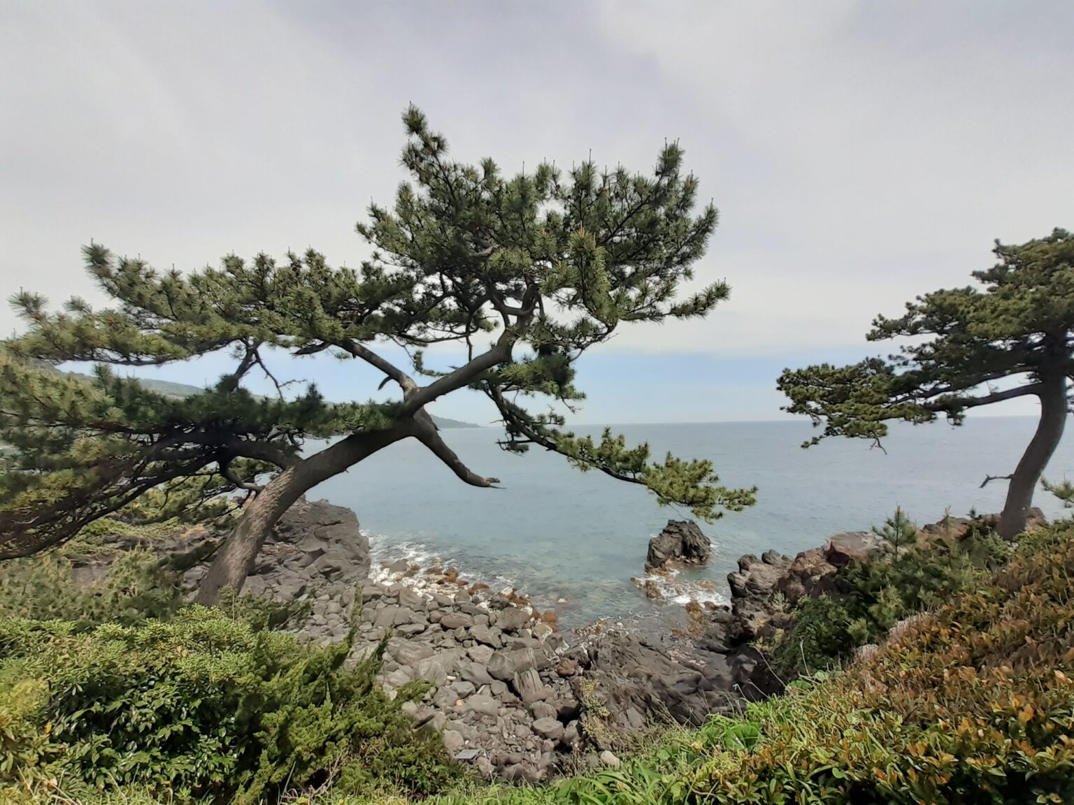 Jogasaki Coast Hiking Guide: Walking from Jogasaki Kaigan Station to ...