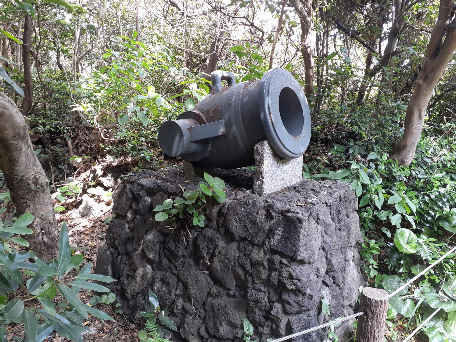 Jogasaki Coast Hiking Guide: Walking from Jogasaki Kaigan Station to ...