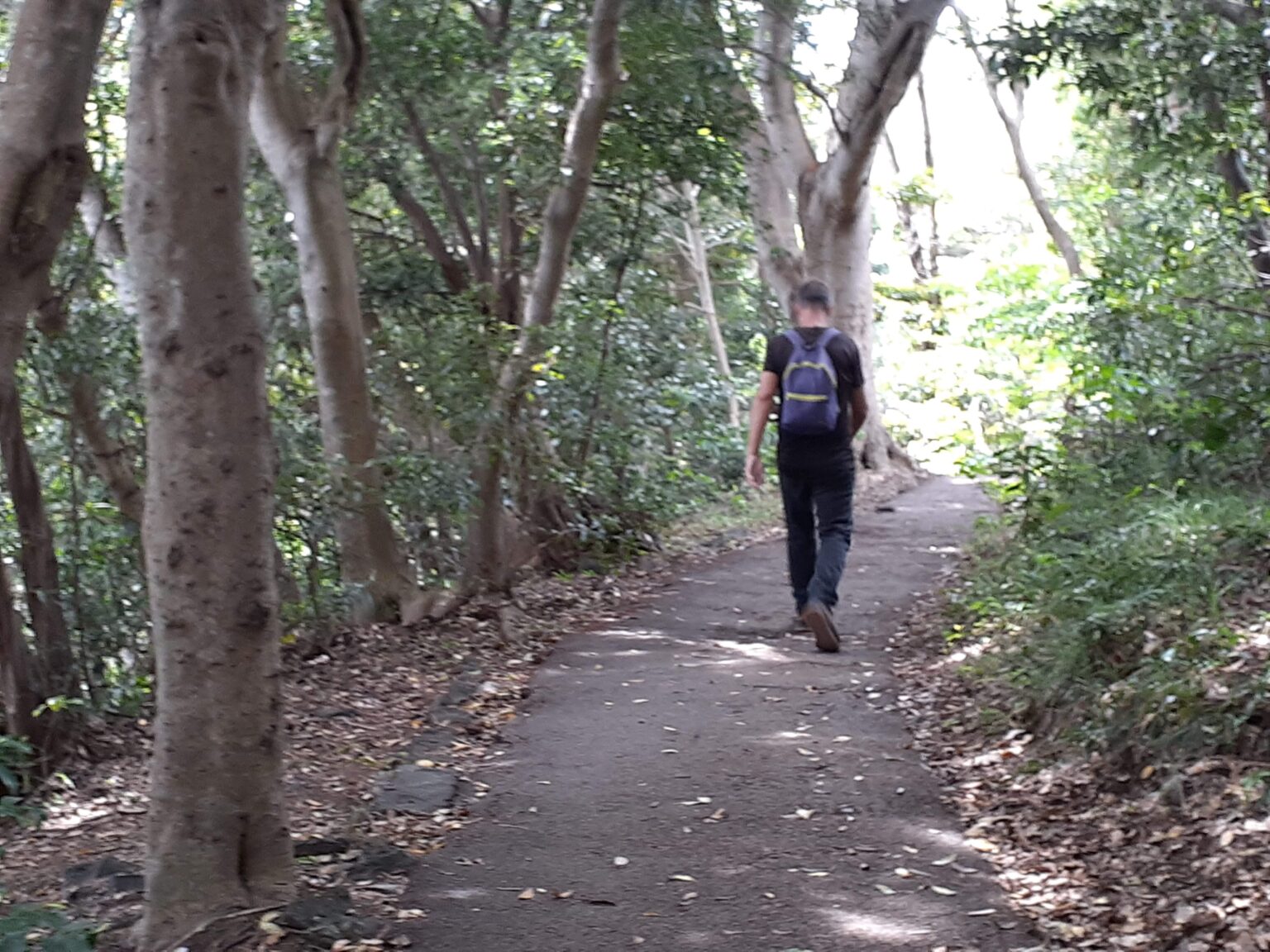 Jogasaki Coast Hiking Guide: Walking from Jogasaki Kaigan Station to ...