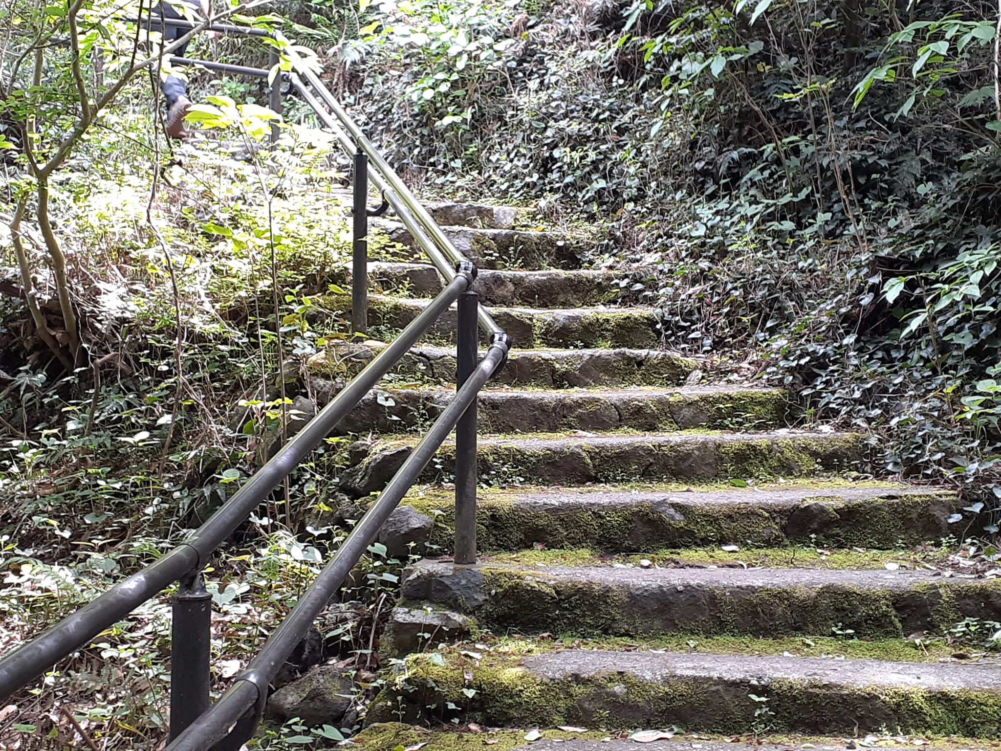 Jogasaki Coast Hiking Guide: Walking from Jogasaki Kaigan Station to ...