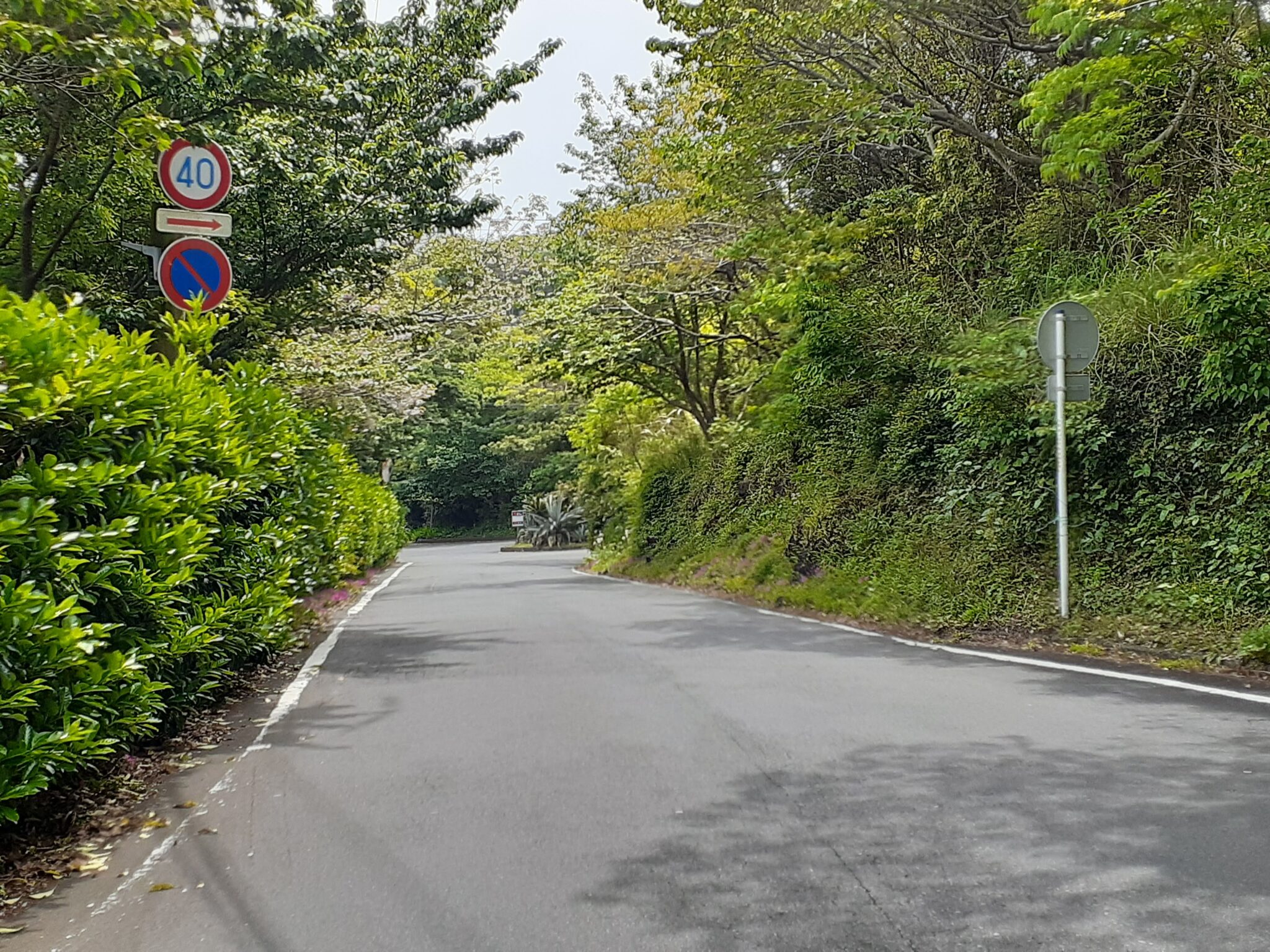 Jogasaki Coast Hiking Guide: Walking from Jogasaki Kaigan Station to ...