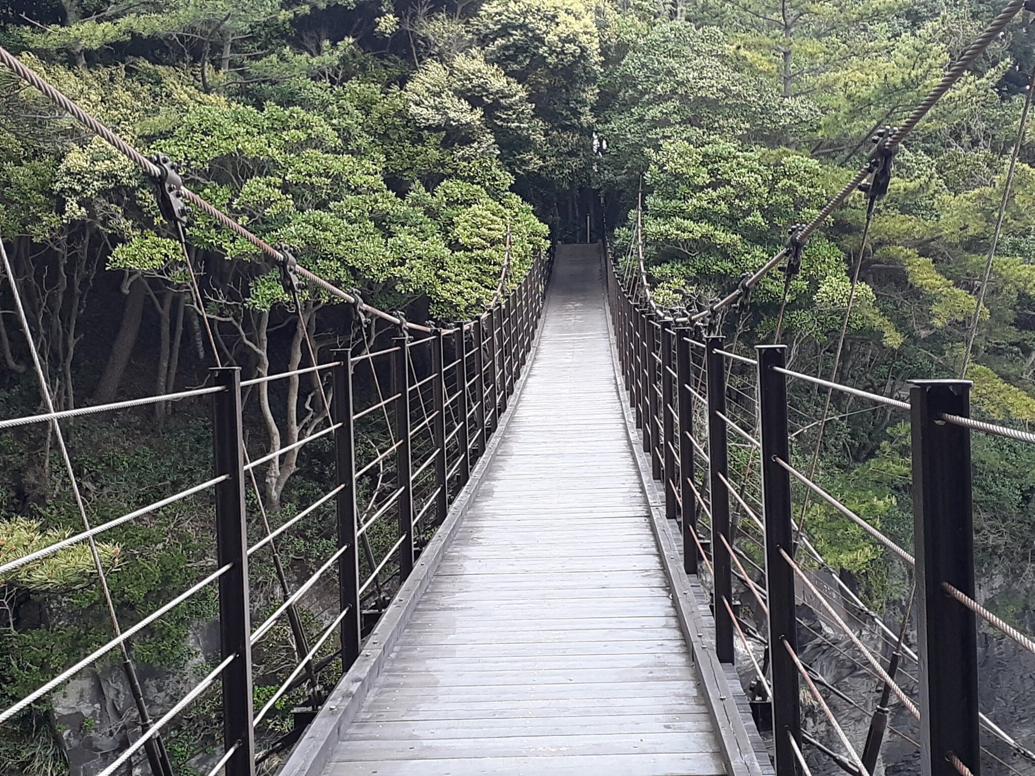 Jogasaki Coast Hiking Guide: Walking from Jogasaki Kaigan Station to ...