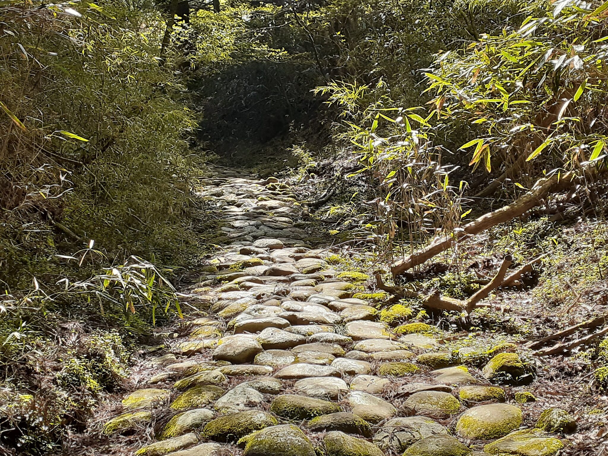 Walking the Old Hakone Highway: Hakone Checkpoint to Yamanaka Castle ...