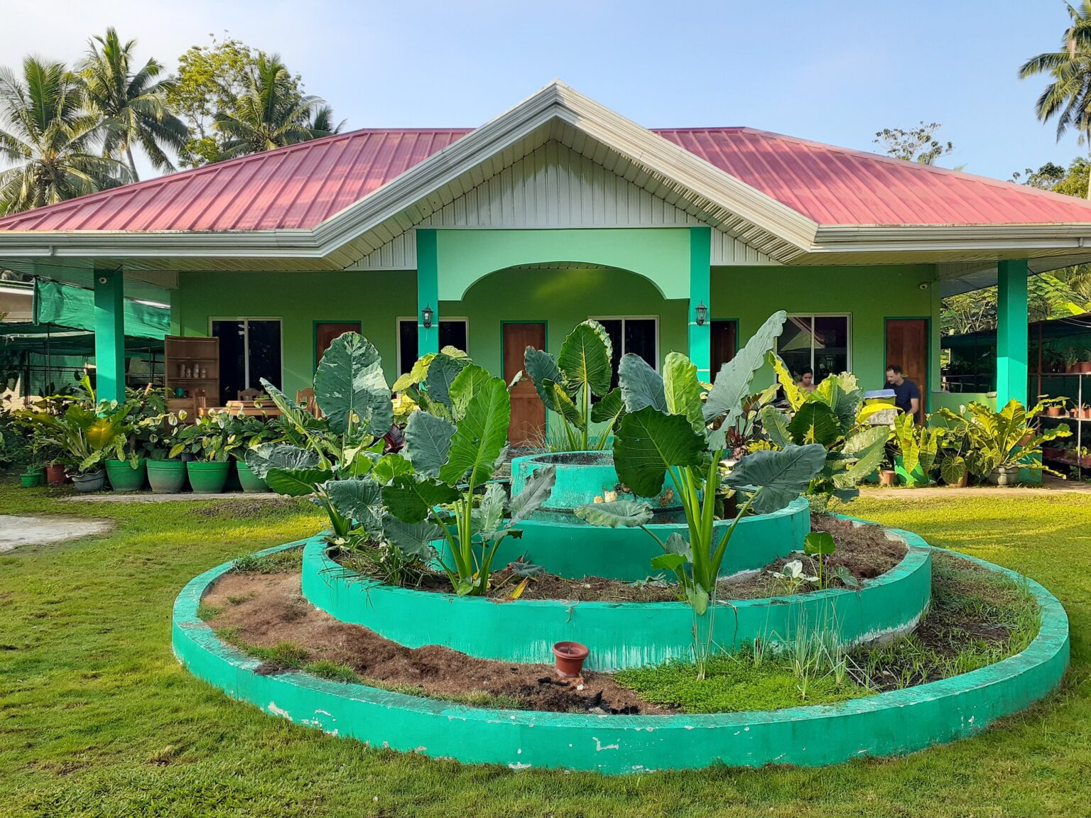 Chocolate Hills (Free!) and Pangas Falls: Bohol Sightseeing and ...