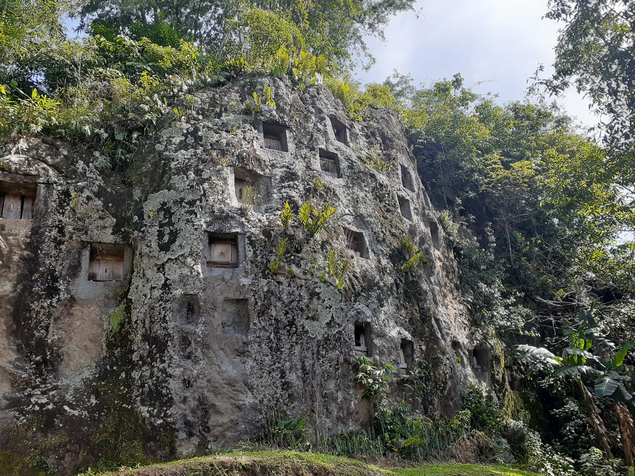 Tana Toraja Sightseeing Highlights 1: Visiting Traditional Funeral and ...