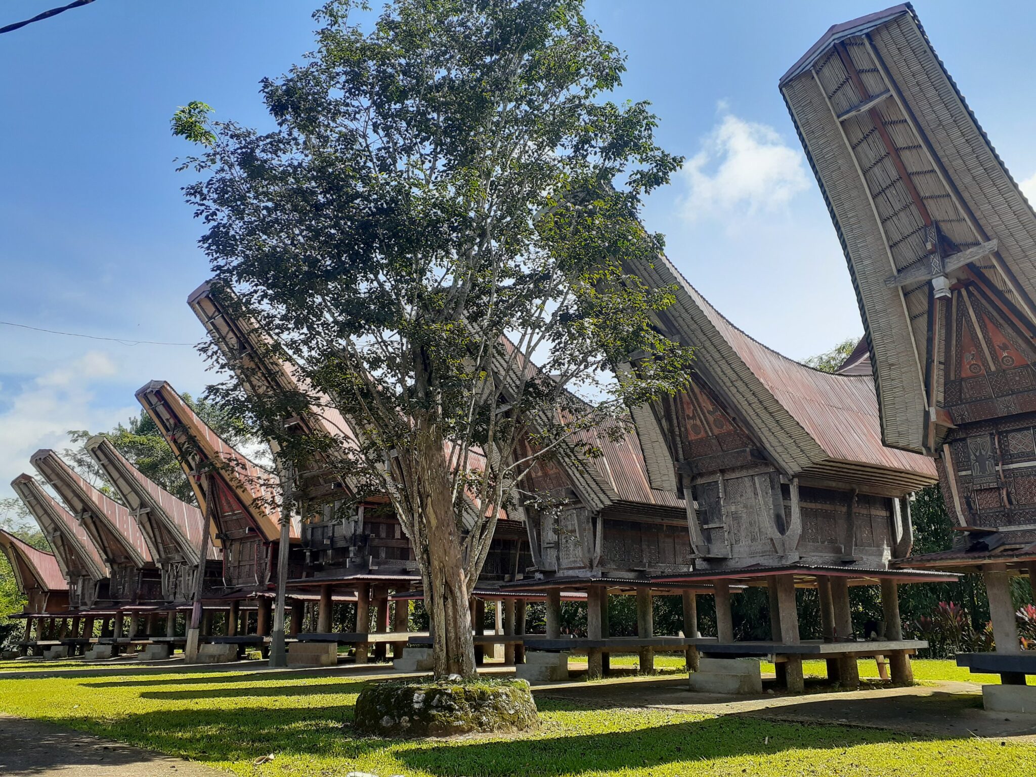 Bus journey from Makassar to Tana Toraja (Rantepao) Took 13 hours in ...