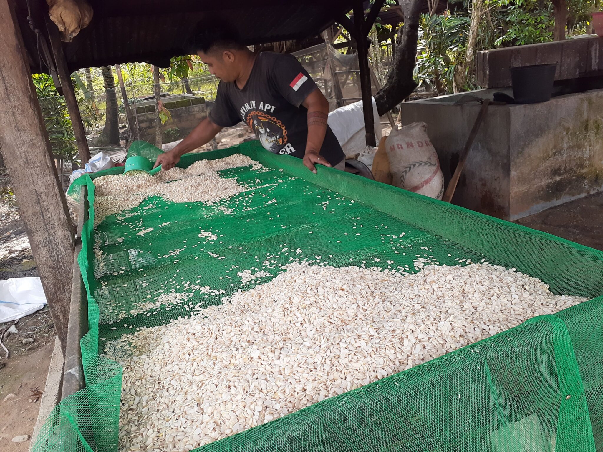 What to Do in Tentena? Sightseeing and Attractions | Mai and Chris Travel