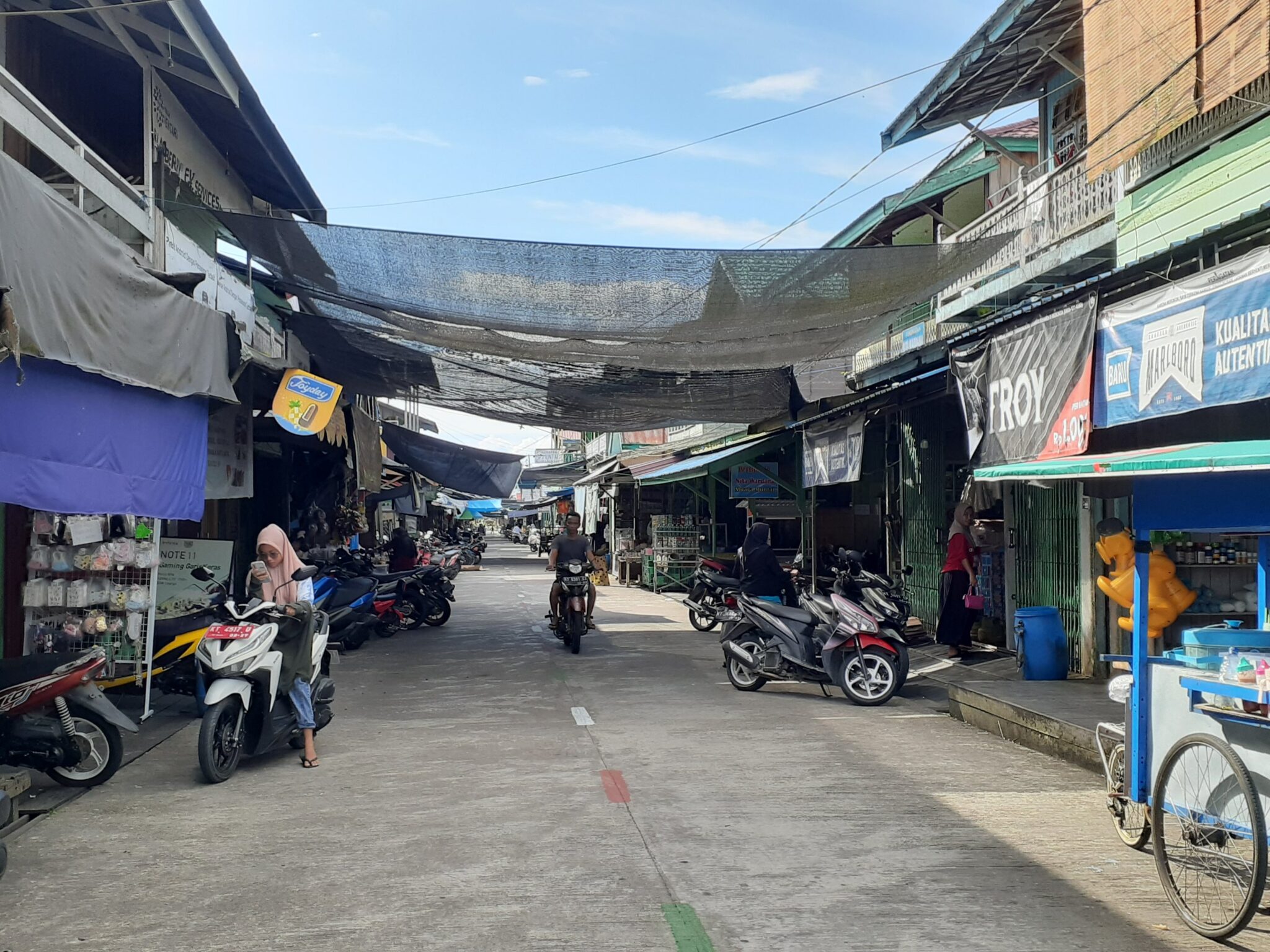 Watching Dolphins in the Mahakam River and Visiting Stilted Villages ...