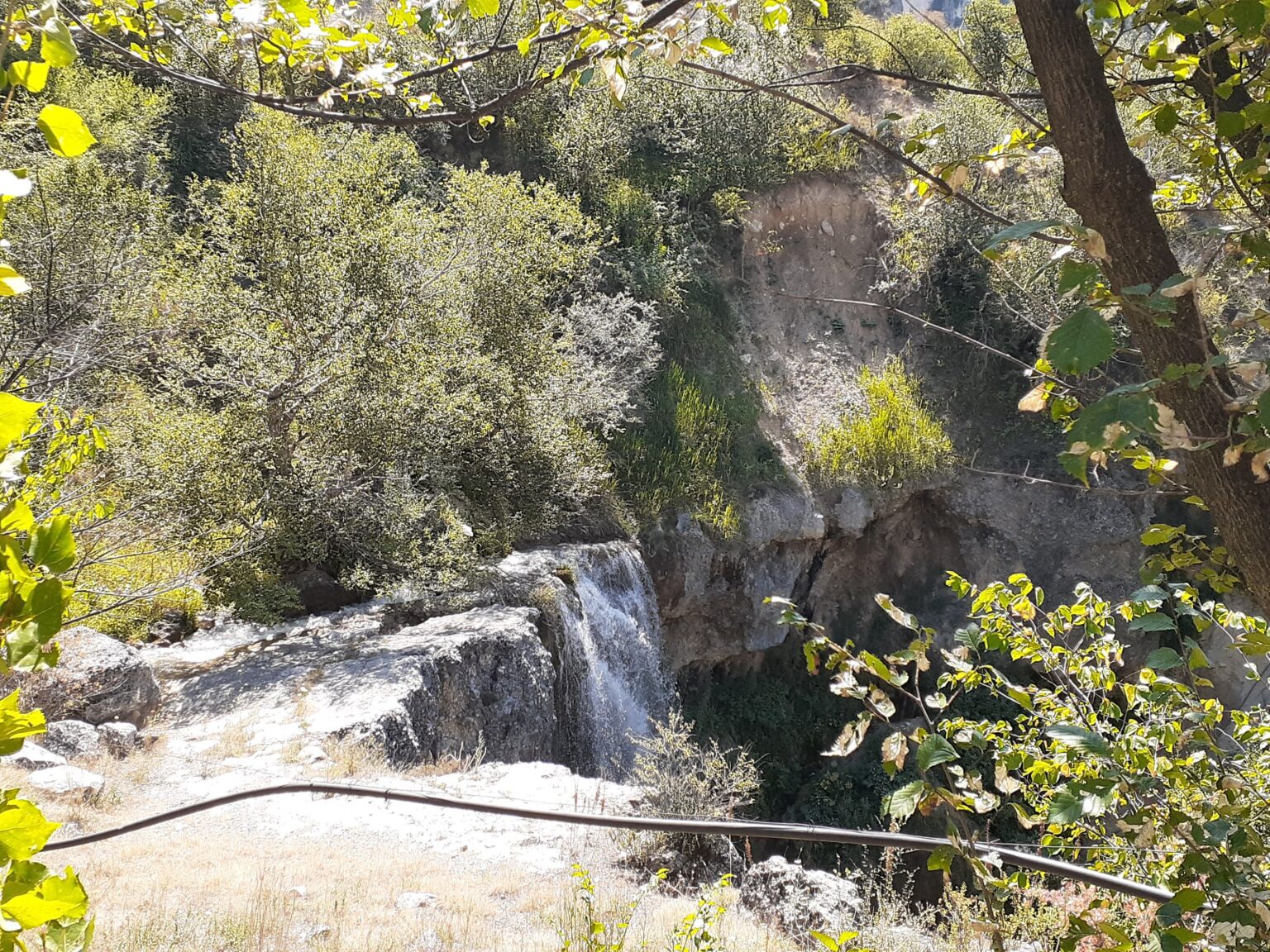 Hiking to the World’s Largest Walnut Forest: How to Get there from ...