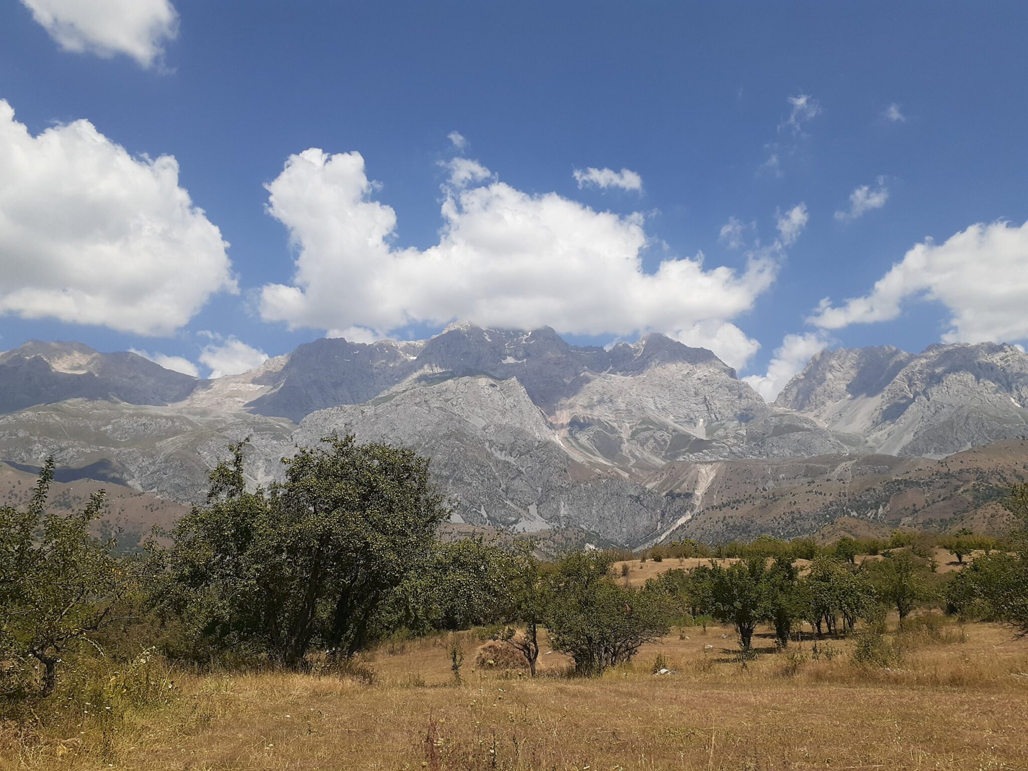 Hiking to the World’s Largest Walnut Forest: How to Get there from ...