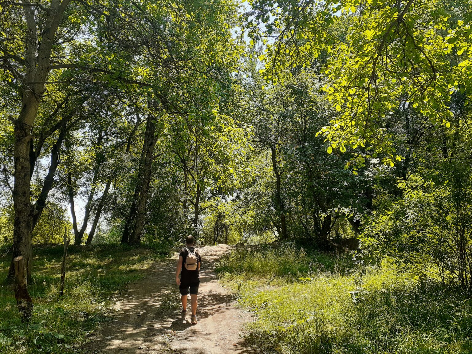 Hiking to the World’s Largest Walnut Forest: How to Get there from ...