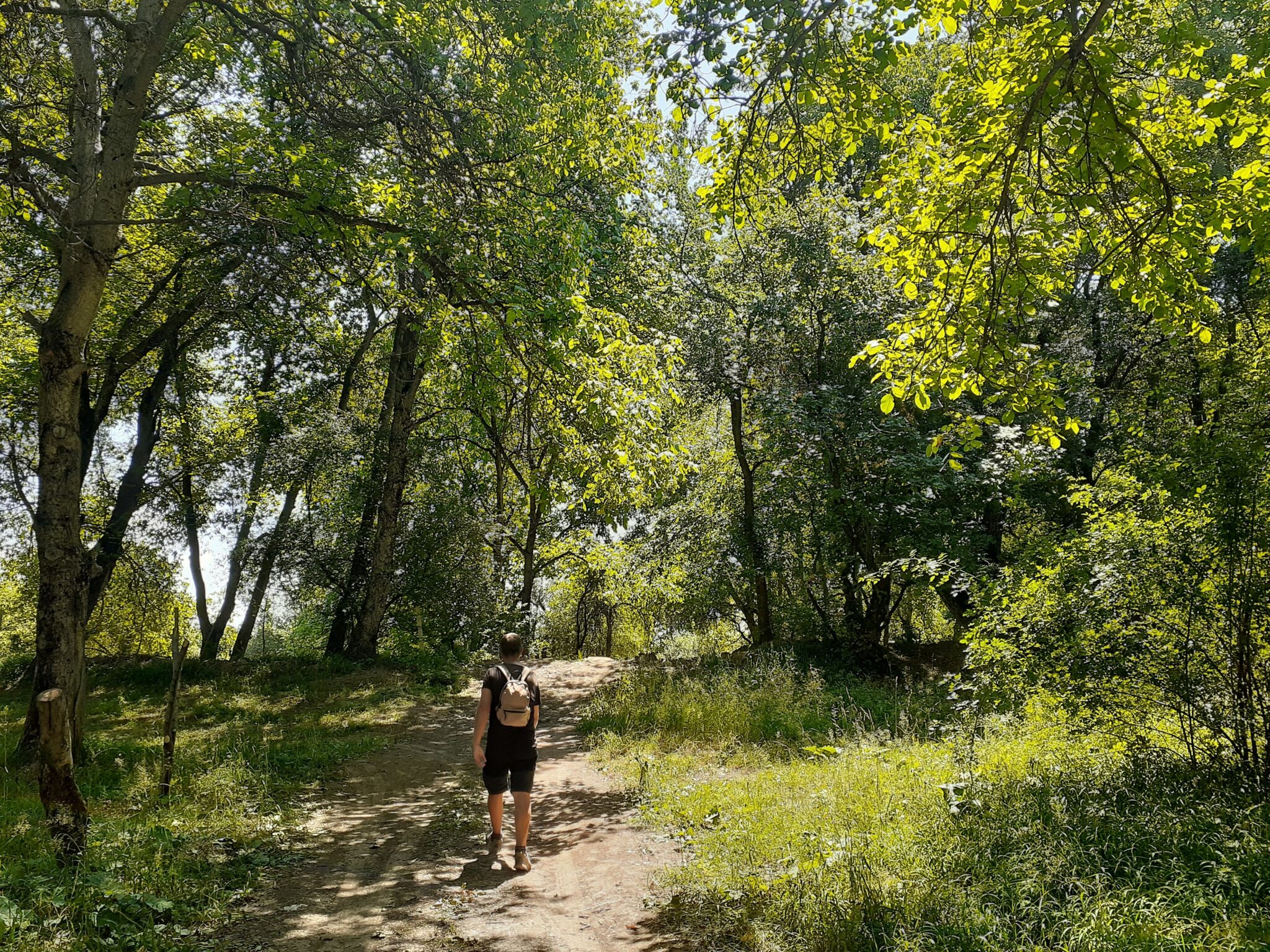 Hiking to the World’s Largest Walnut Forest: How to Get there from ...