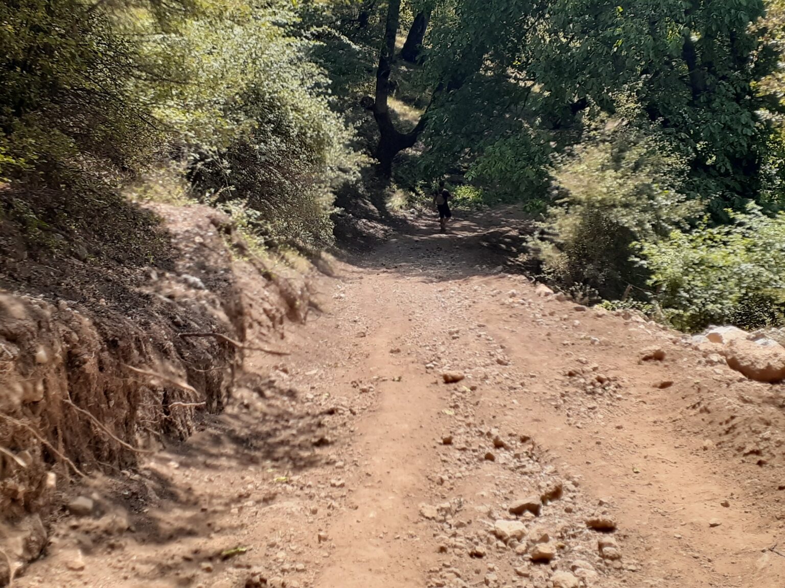 Hiking to the World’s Largest Walnut Forest: How to Get there from ...